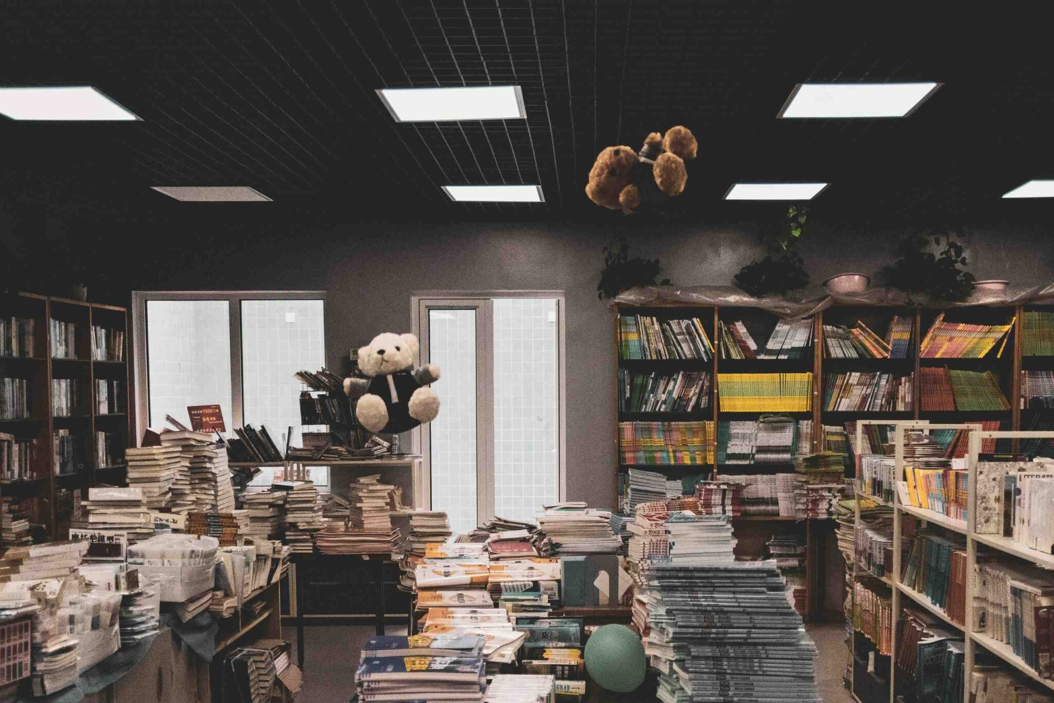 15 Most Beautiful Bookstores In The World You Must Visit | The Soul Index